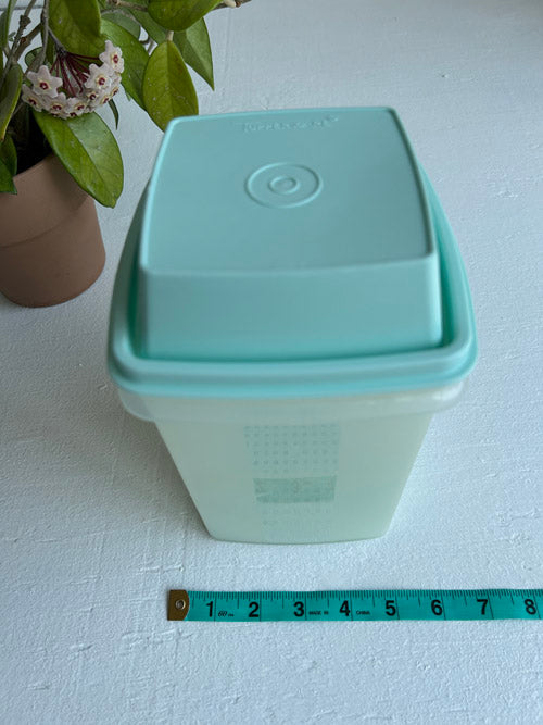 Light Turquoise Tupperware Pickle Elevator – Love My Mat